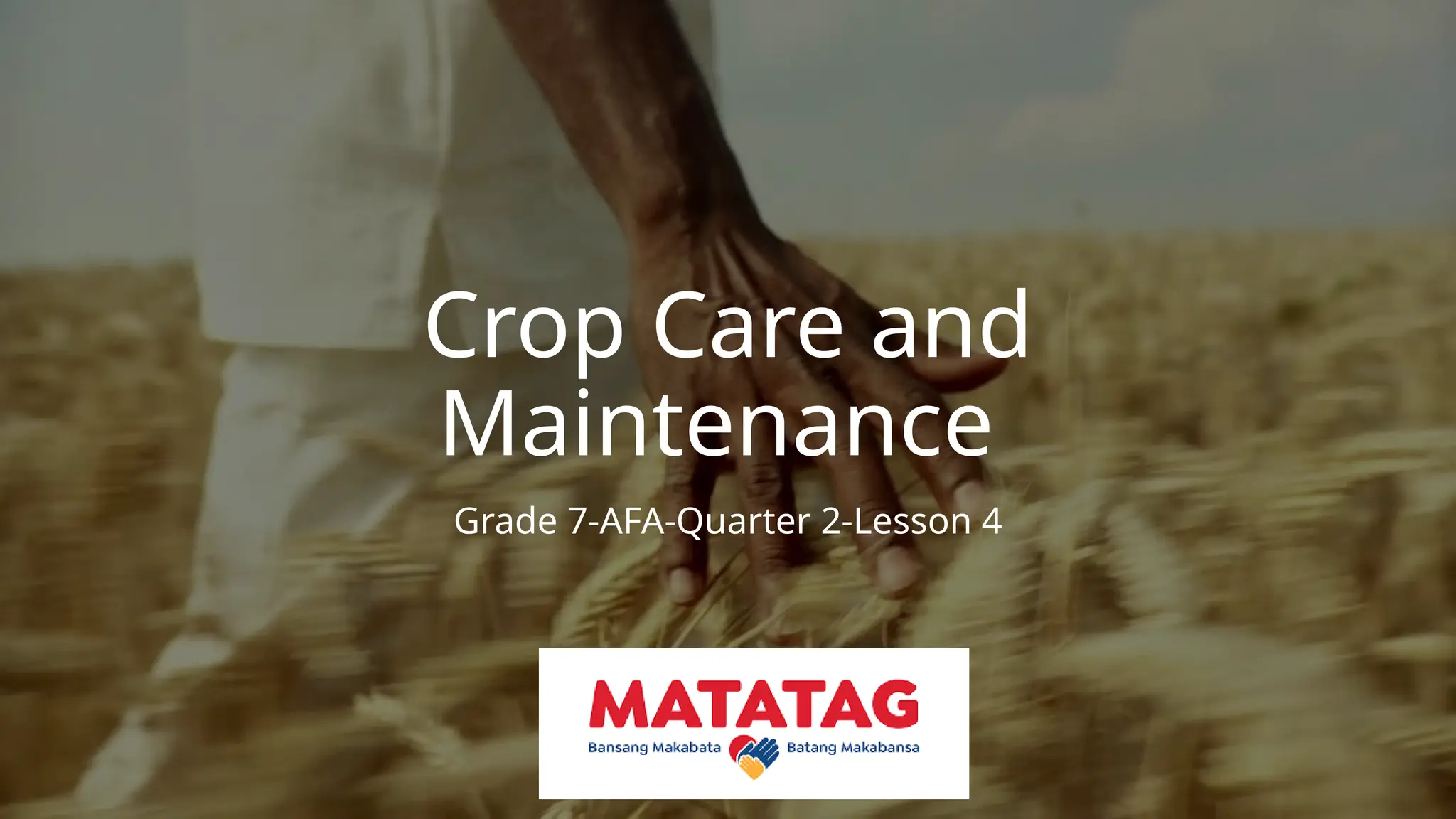 Grade 7 TLE-AFA-Lesson 4 Crop Care and Maintenance, Post Harvesting- Quarter 2 MATATAG ...