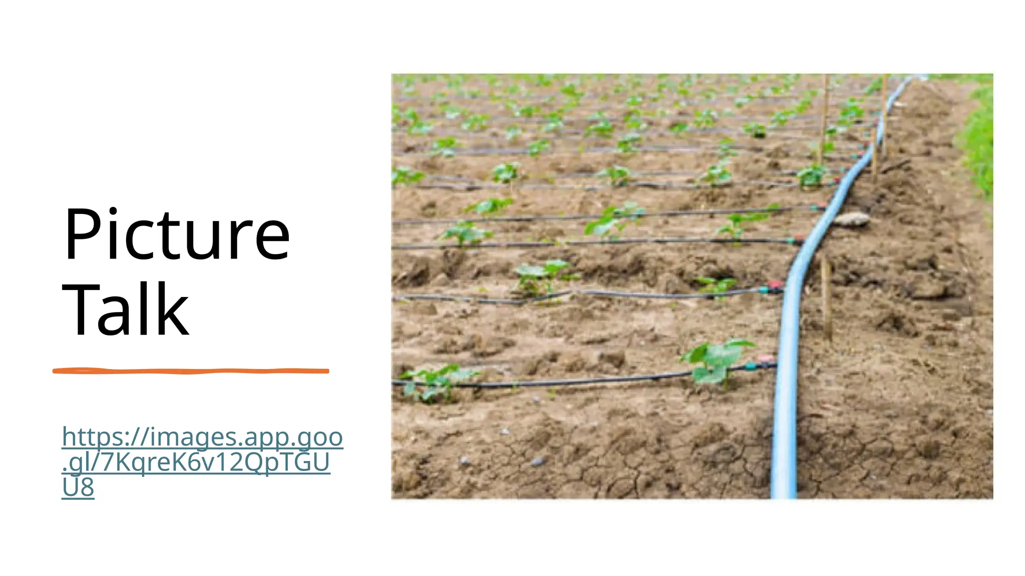 Grade 7 TLE-AFA-Lesson 4 Crop Care and Maintenance, Post Harvesting ...