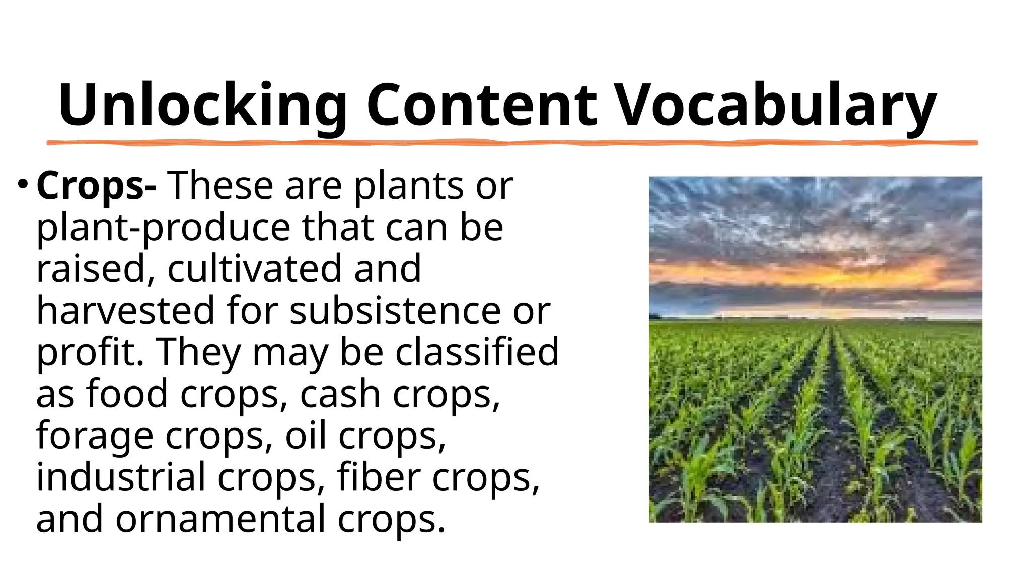 Grade 7 TLE-AFA-Lesson 4 Crop Care and Maintenance, Post Harvesting ...