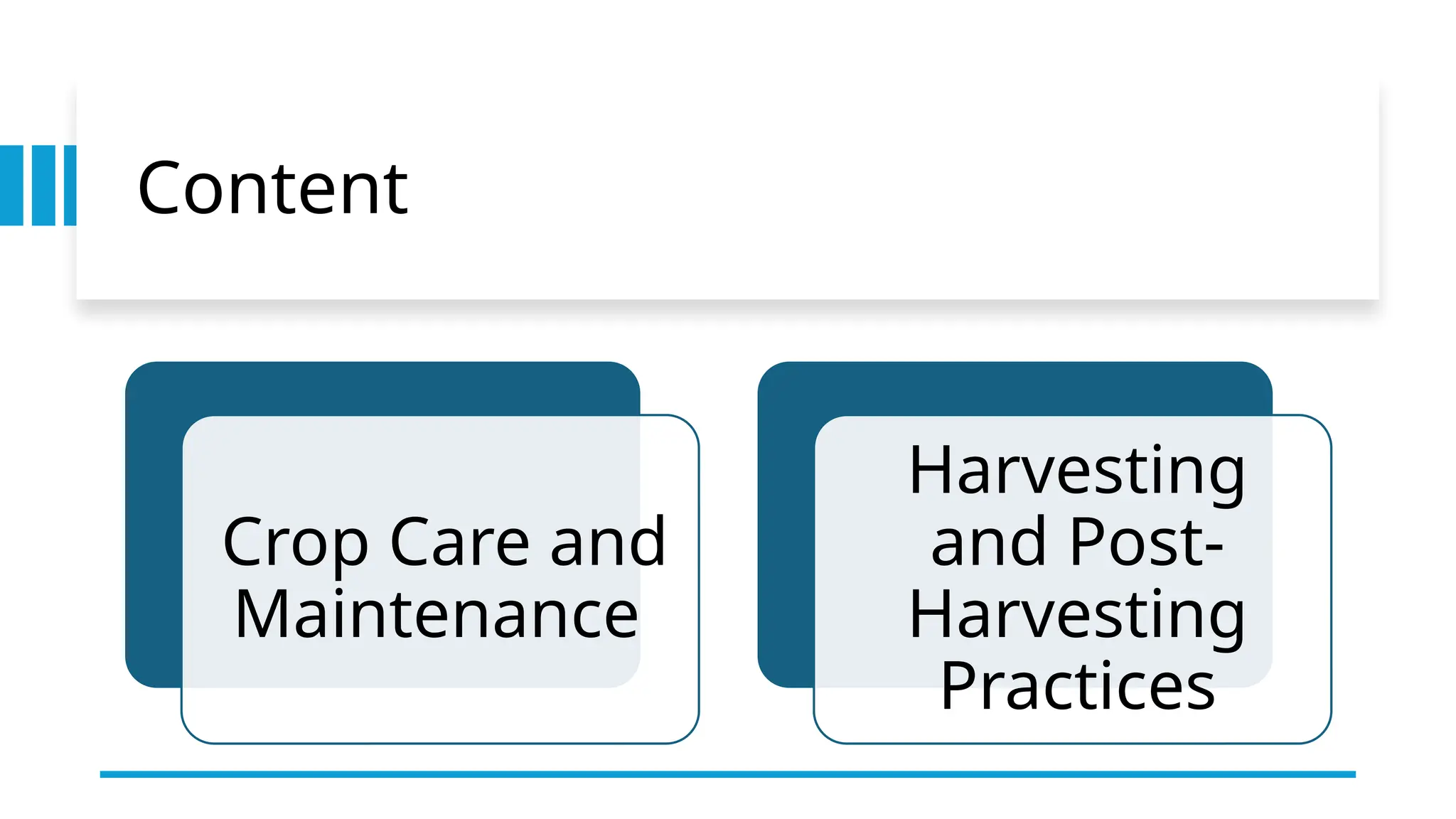 Grade 7 TLE-AFA-Lesson 4 Crop Care and Maintenance, Post Harvesting ...