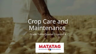Grade 7 TLE-AFA-Lesson 4 Crop Care and Maintenance, Post Harvesting ...