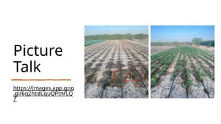 Grade 7 TLE-AFA-Lesson 4 Crop Care and Maintenance, Post Harvesting ...