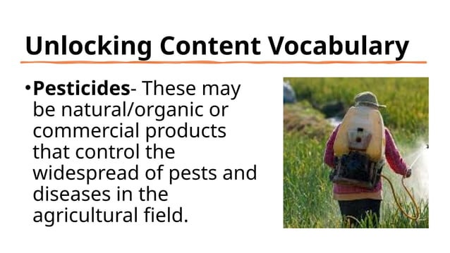 Grade 7 TLE-AFA-Lesson 4 Crop Care and Maintenance, Post Harvesting ...