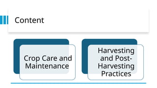 Grade 7 TLE-AFA-Lesson 4 Crop Care and Maintenance, Post Harvesting ...