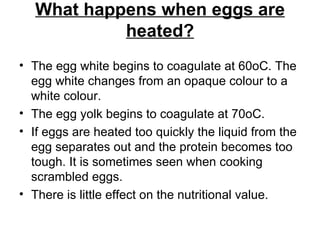 Protein; eggs and organic | PPT