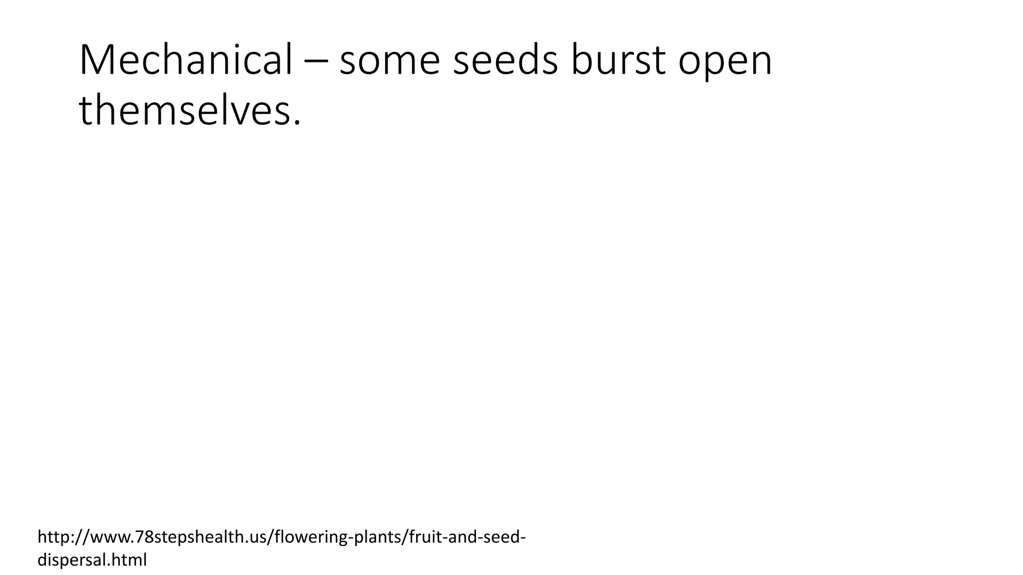 Lesson 4 germination and seed dispersal | PPTX