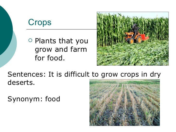 Lesson4 gettoknowyourworld