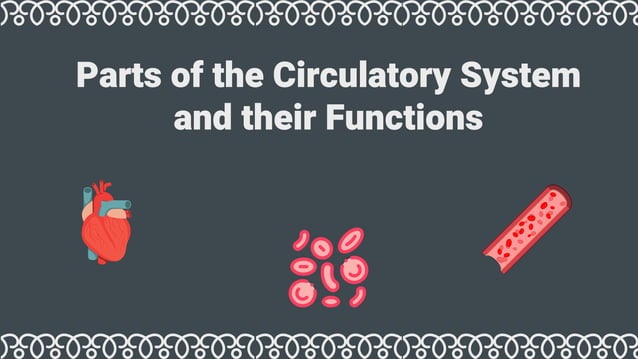 Lesson 4 How Does the Circulatory System Work.pdf
