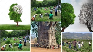 Lesson 4 human person in the environment.pdf