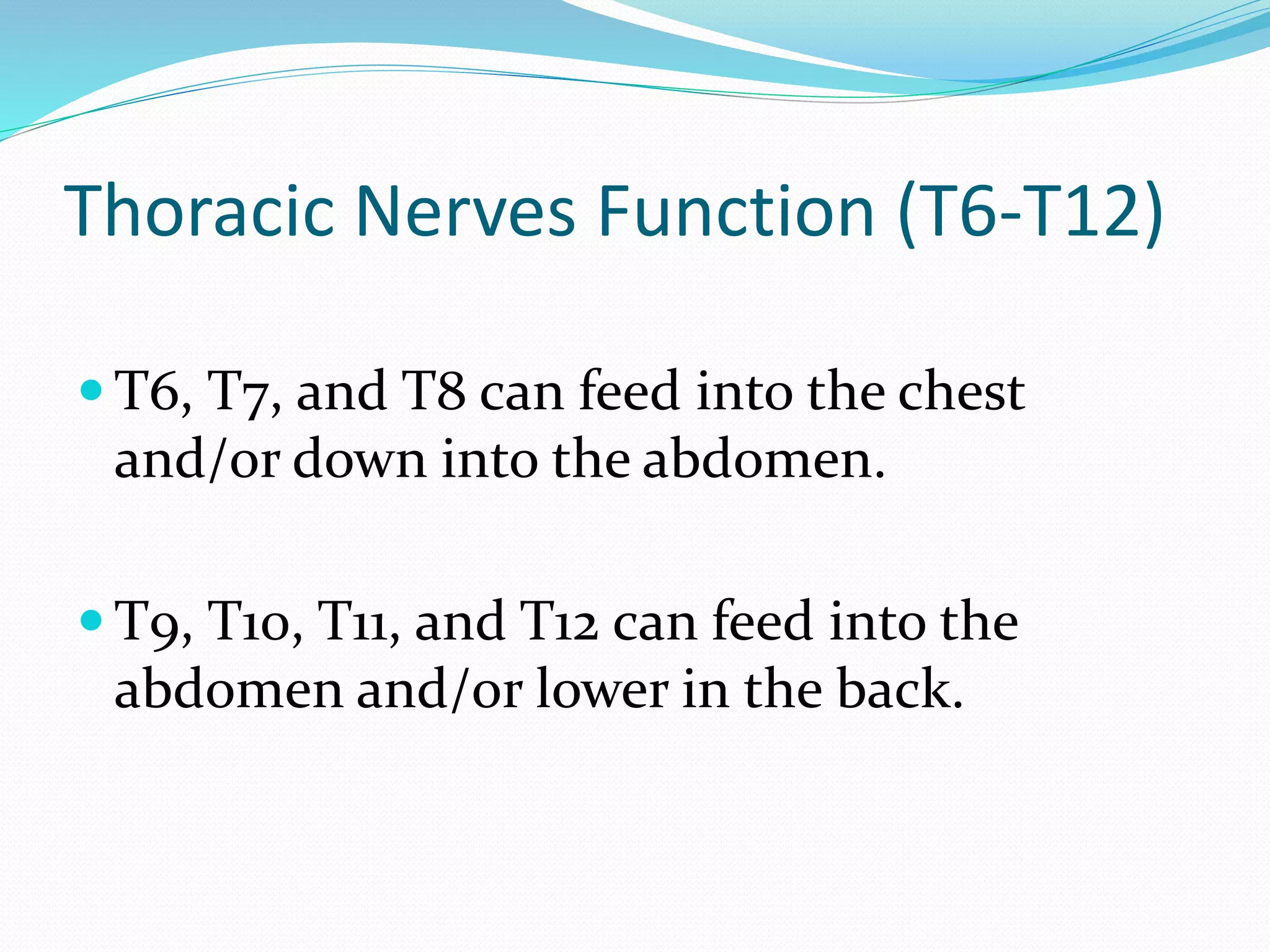 Lesson 4 (Nerves and Blood Vessels of the Spinal Column and Thorax).pptx