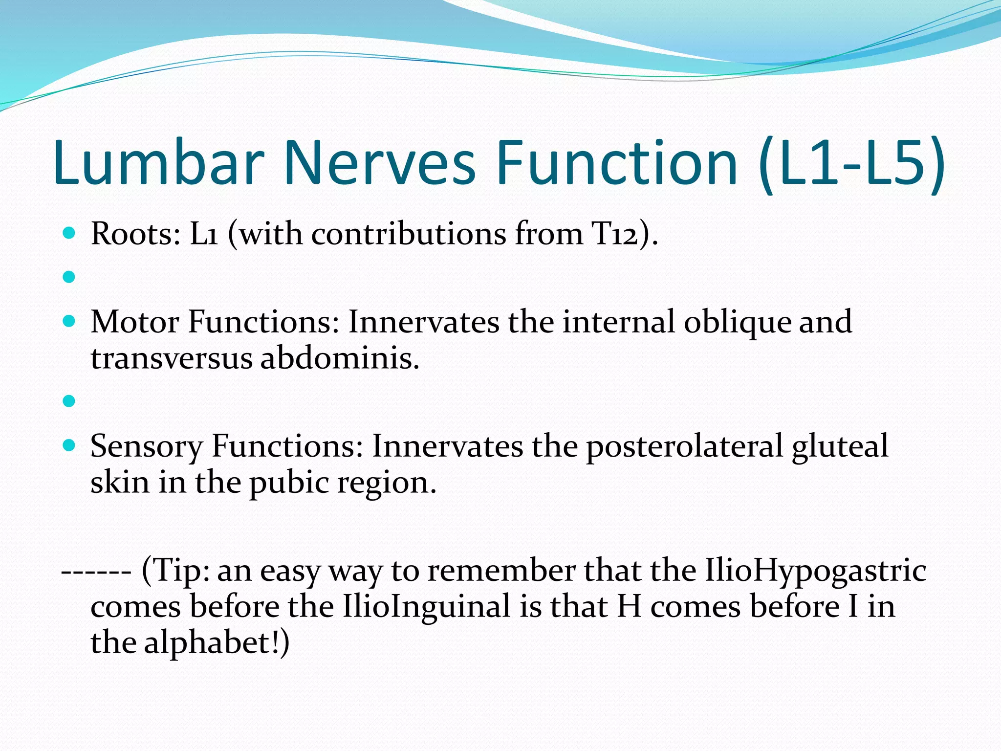Lesson 4 (Nerves and Blood Vessels of the Spinal Column and Thorax).pptx