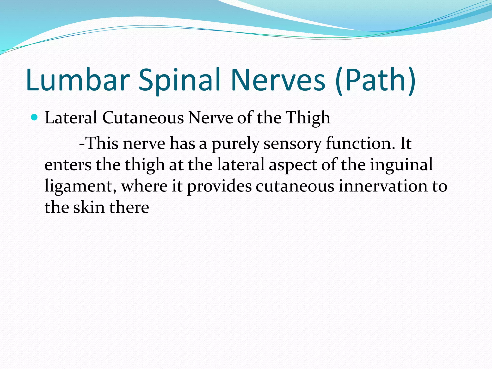Lesson 4 (Nerves and Blood Vessels of the Spinal Column and Thorax).pptx