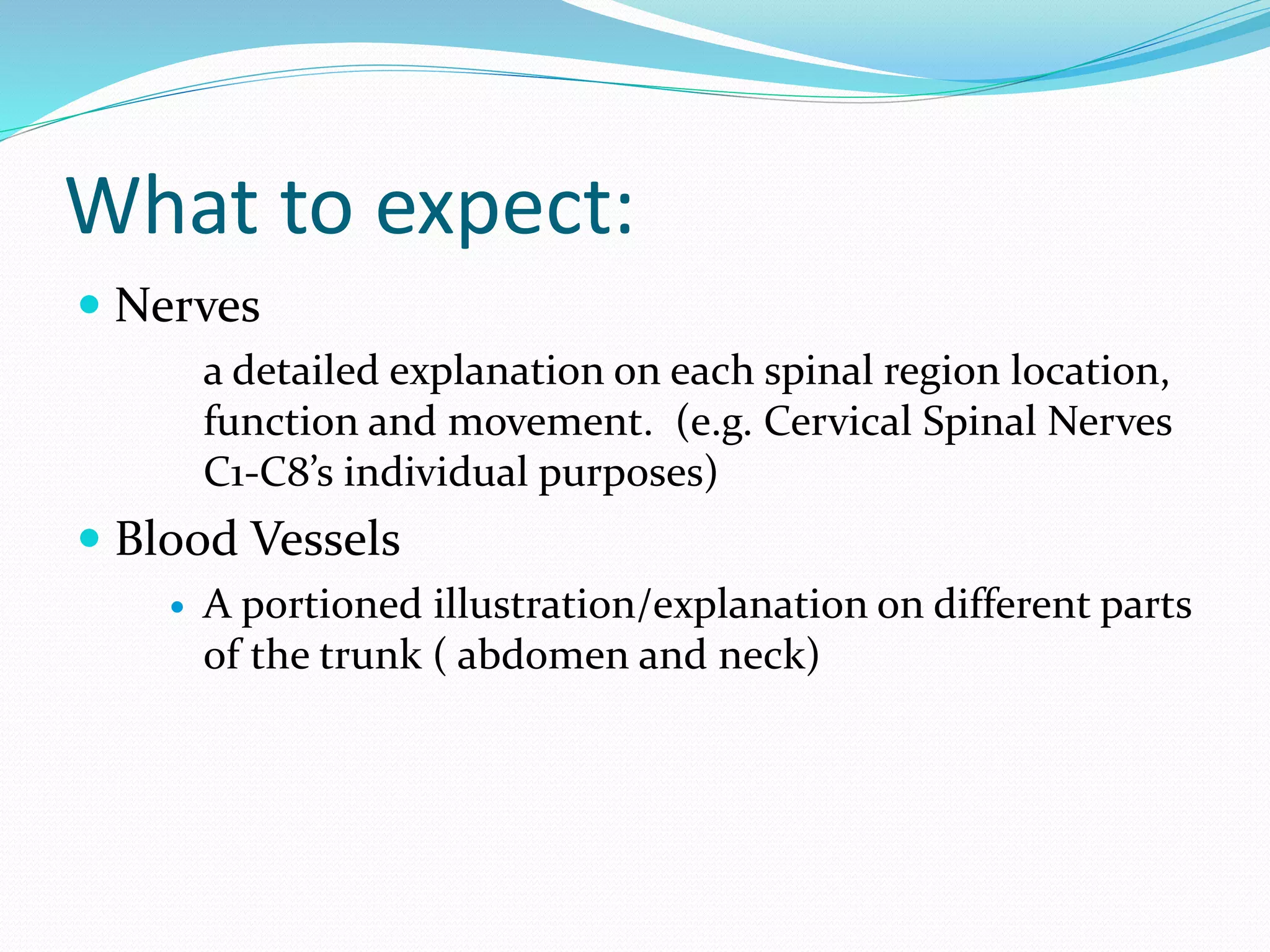Lesson 4 (Nerves and Blood Vessels of the Spinal Column and Thorax).pptx