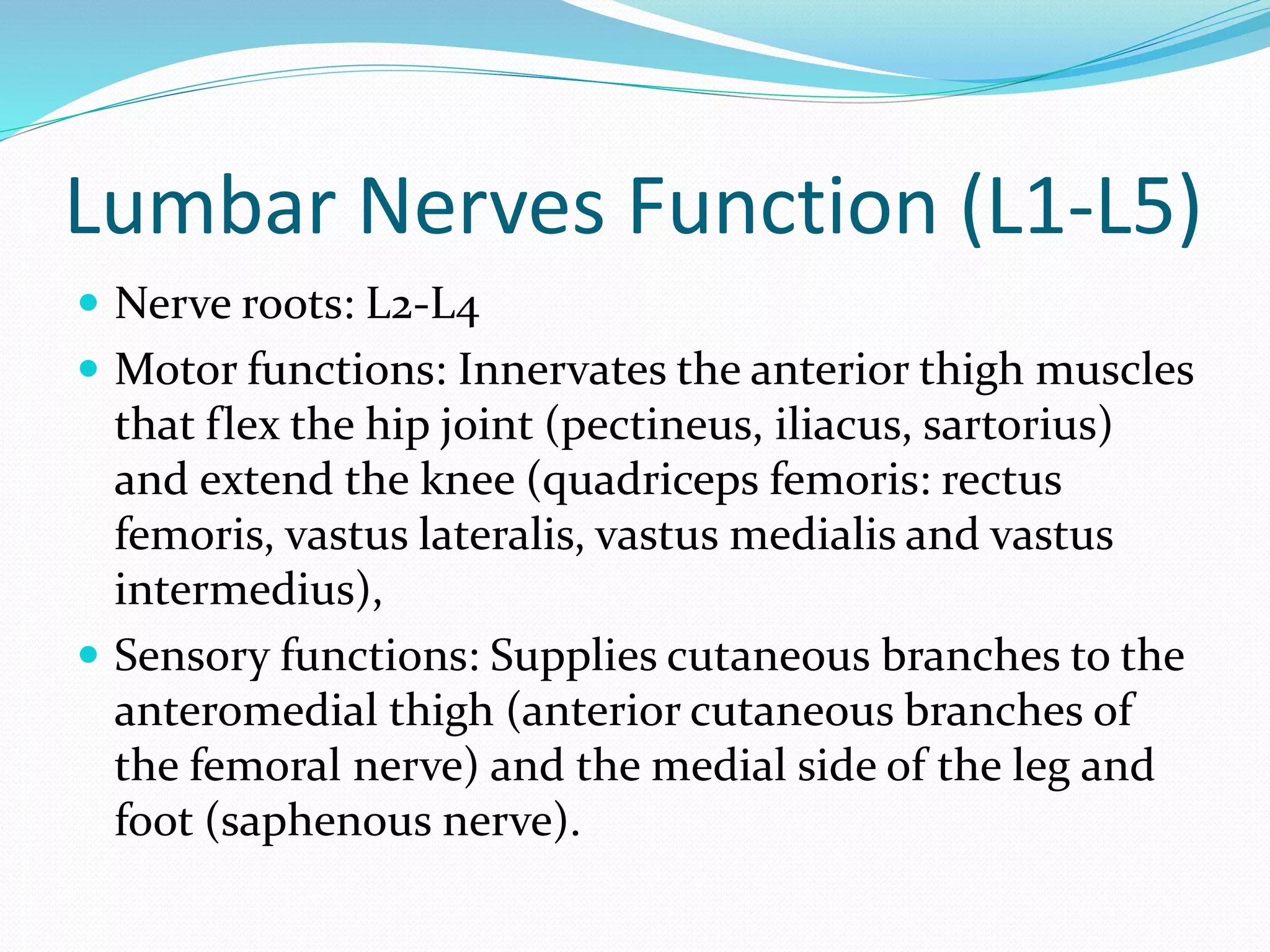 Lesson 4 (Nerves and Blood Vessels of the Spinal Column and Thorax).pptx