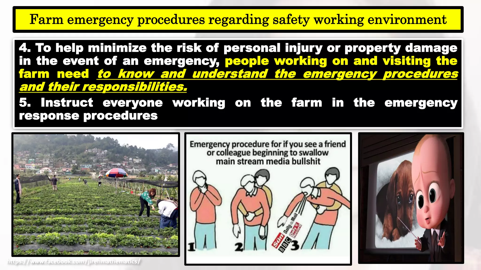 Agri-Crop Production: Lesson 4 occupational safety and health | PDF