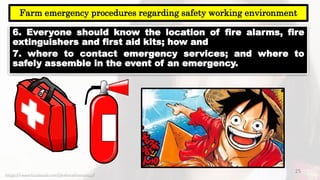 Agri-Crop Production: Lesson 4 occupational safety and health | PDF