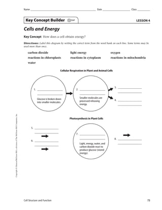 Lesson 4 outline | PDF