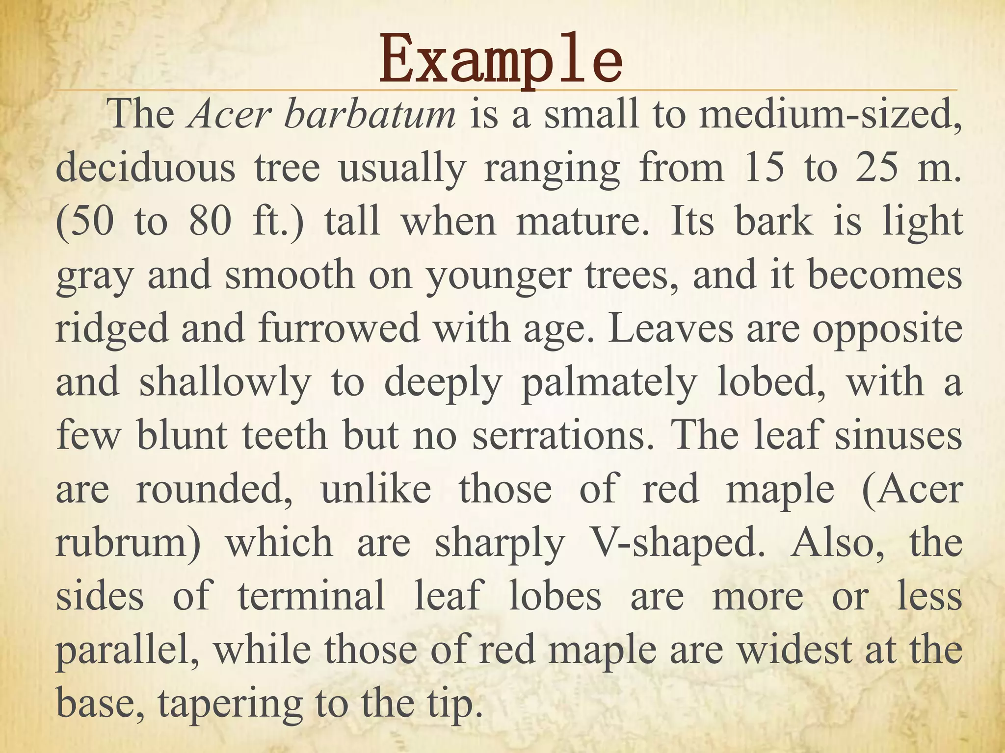 Lesson 4 Patterns of Development in Writing | PPTX
