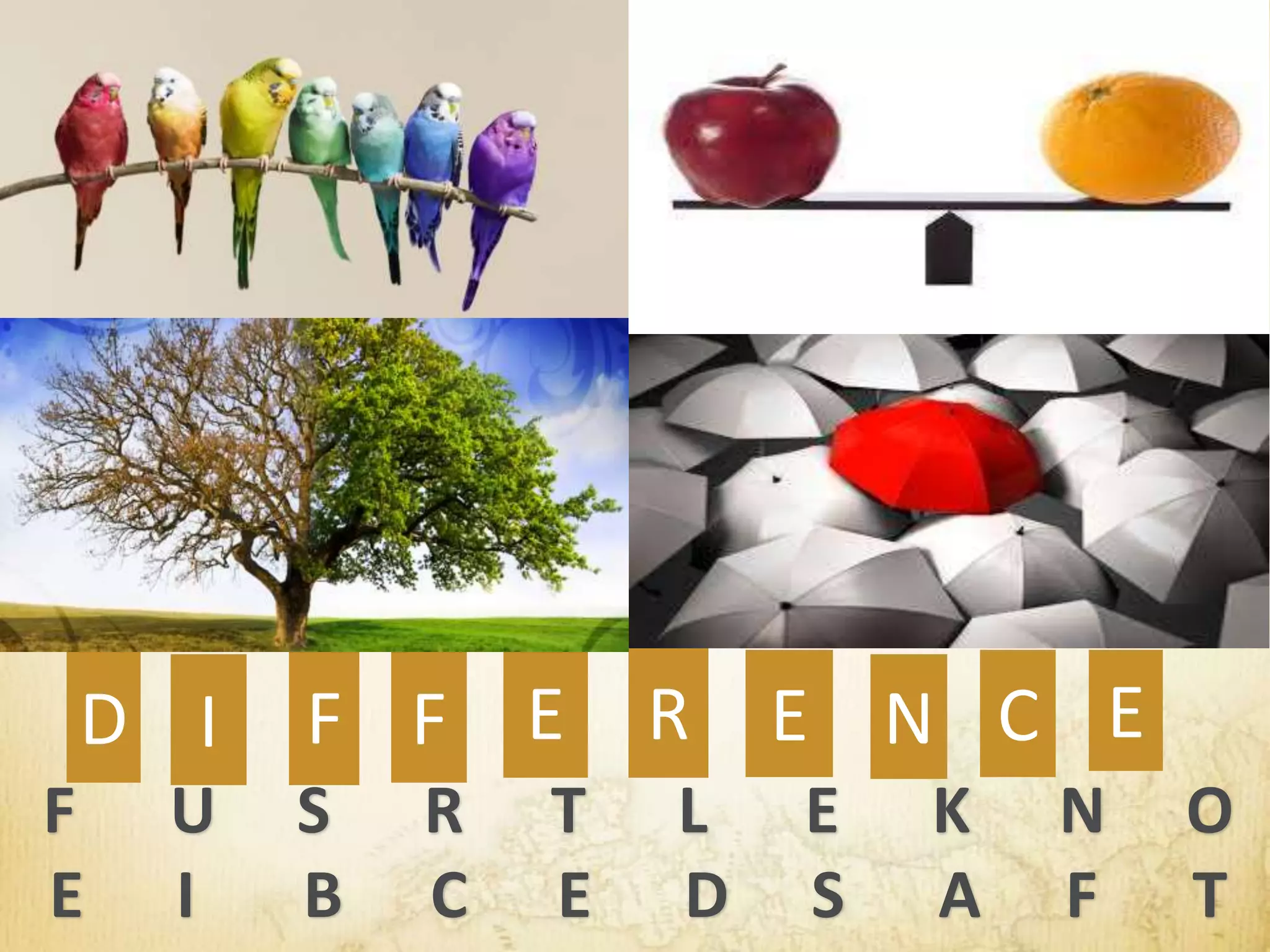 Lesson 4 Patterns of Development in Writing | PPTX