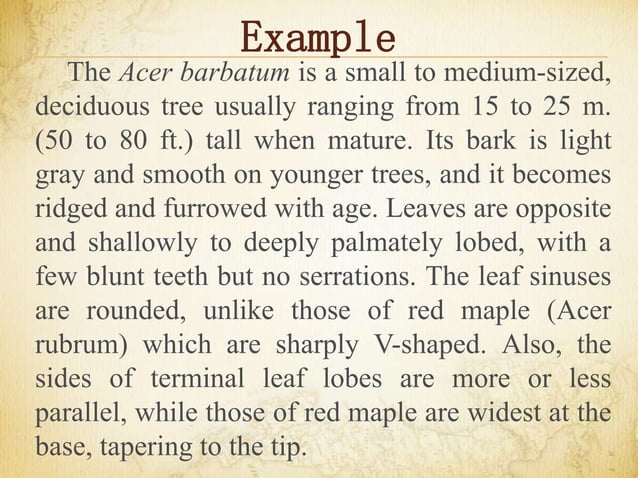 Lesson 4 Patterns of Development in Writing | PPTX