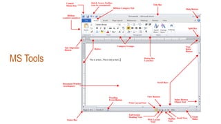 Lesson 4 Productivity Tools.pptx