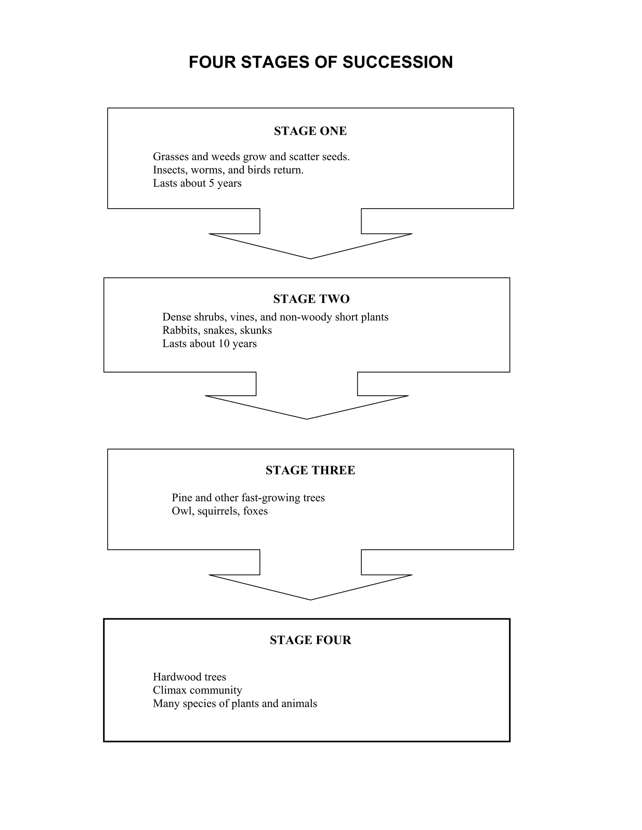 Lesson4,successful succession | PDF