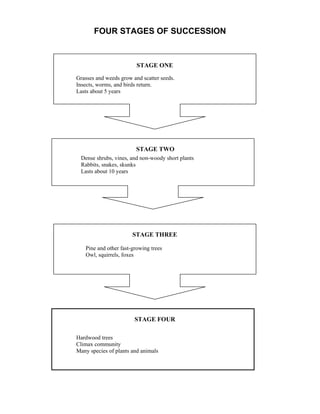 Lesson4,successful succession | PDF