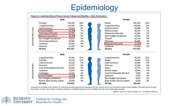 lesson 4 urinary system cancers.pptx ppth | PPT