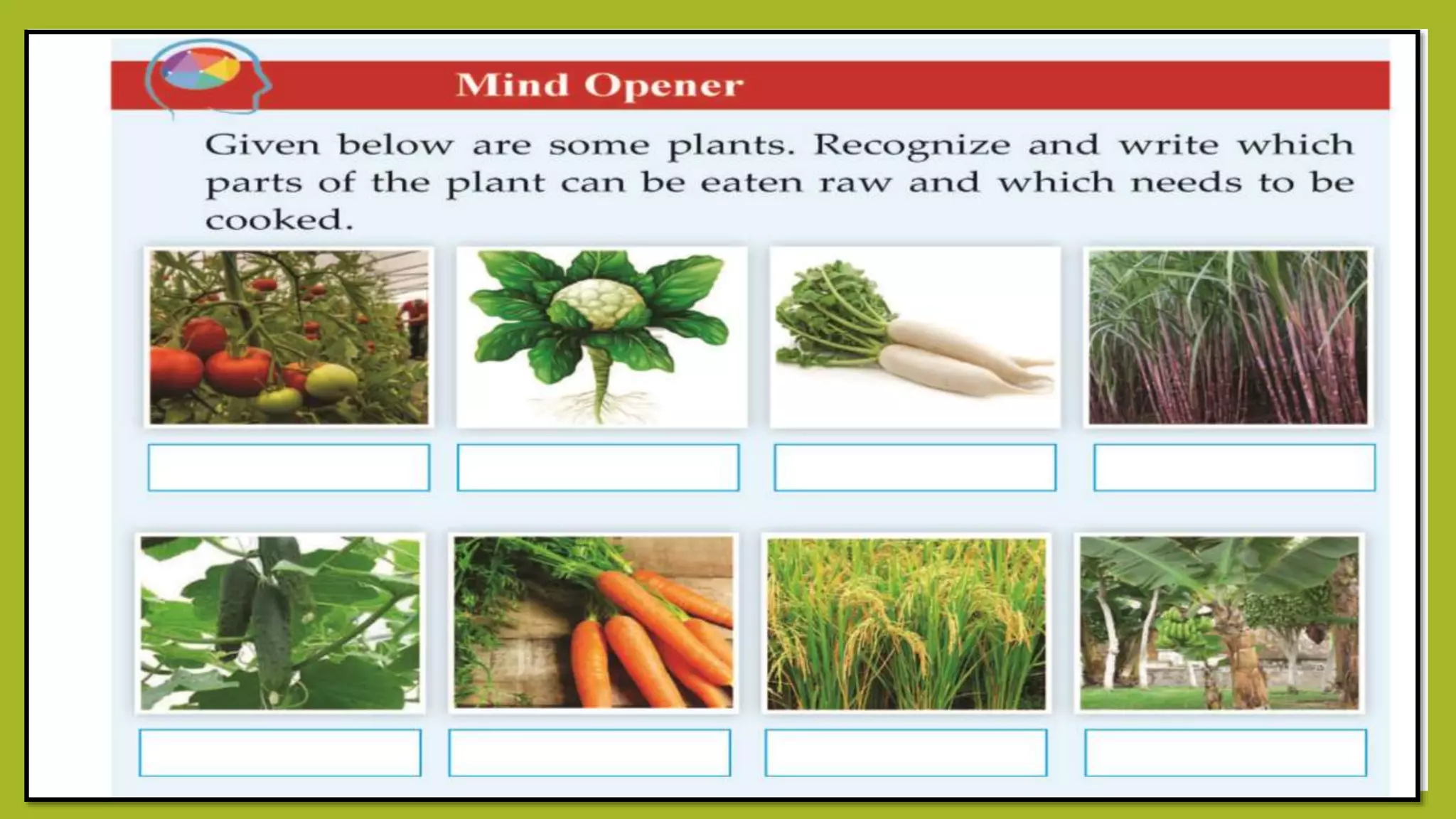 Lesson 4 uses of plants | PPTX | Gardening | Home & Garden