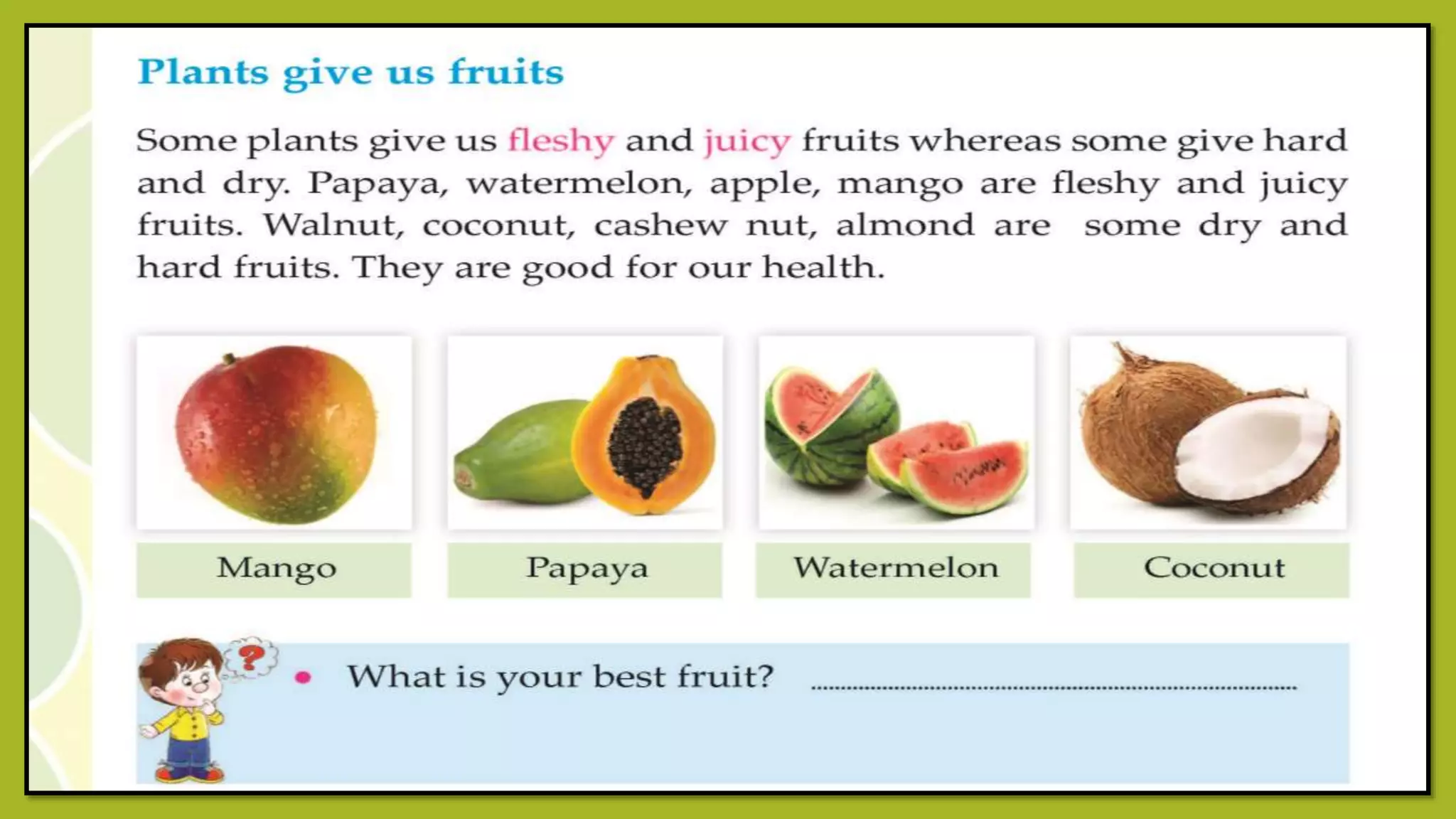 Lesson 4 uses of plants | PPTX | Gardening | Home & Garden