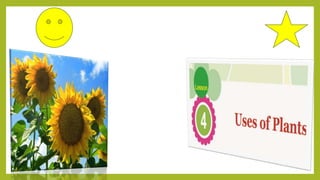 Lesson 4 uses of plants | PPT