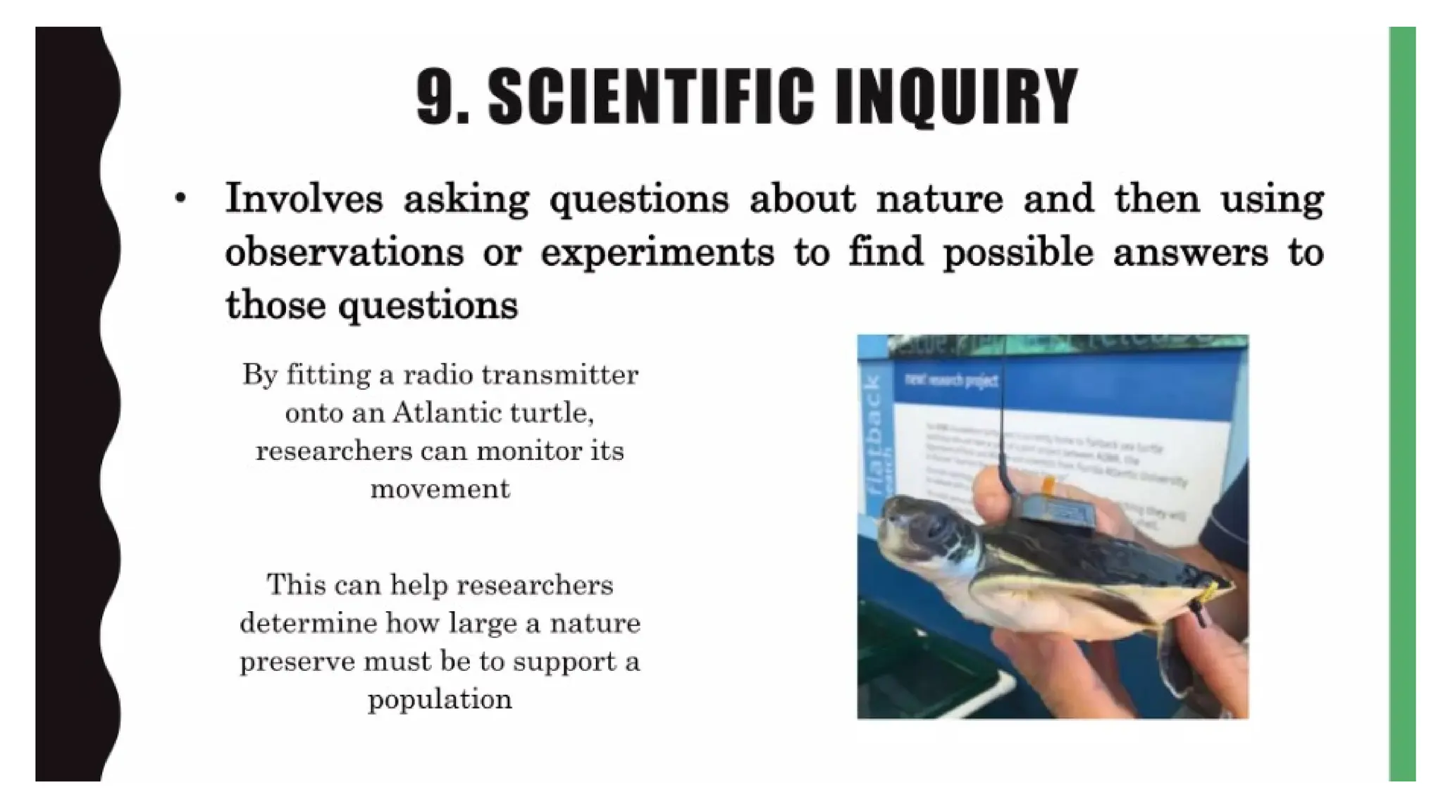 LESSON 4 (WEEK 2).pptx. The Unifying themes of Life | PPTX