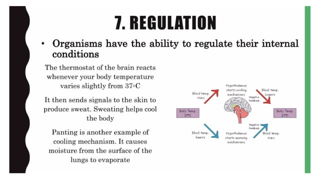LESSON 4 (WEEK 2).pptx. The Unifying themes of Life | PPTX