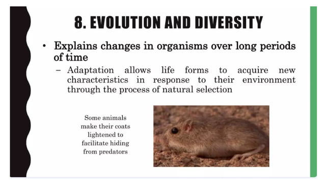 LESSON 4 (WEEK 2).pptx. The Unifying themes of Life | PPTX