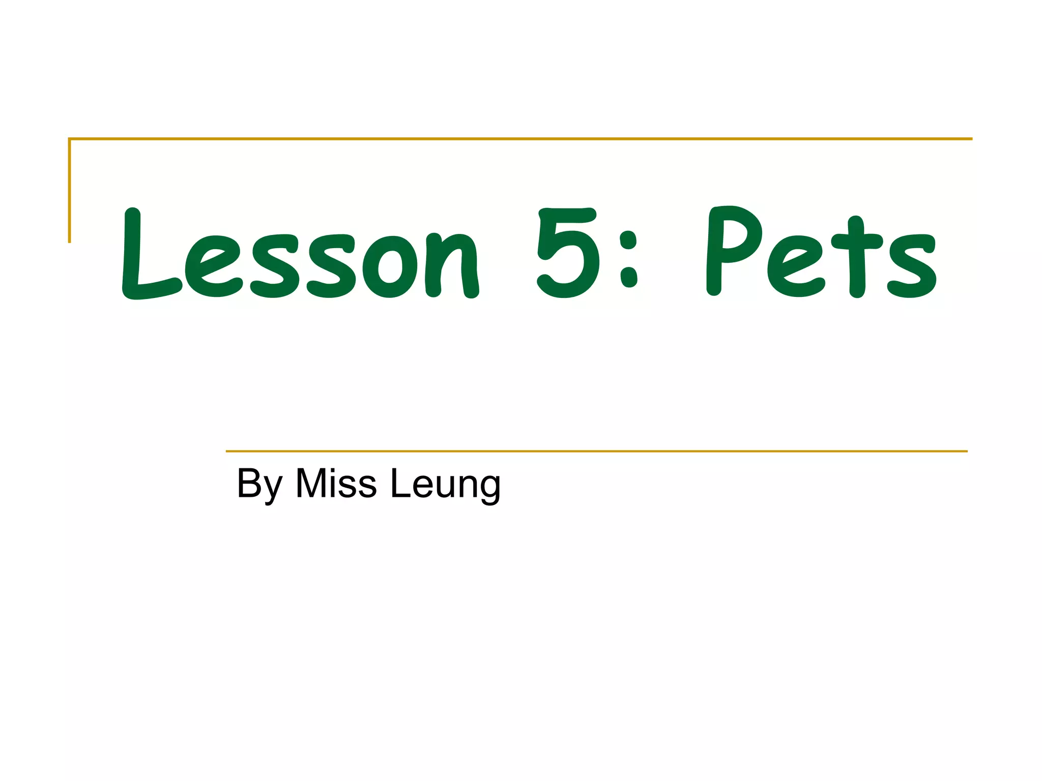 Lesson 5: Pets | PPT