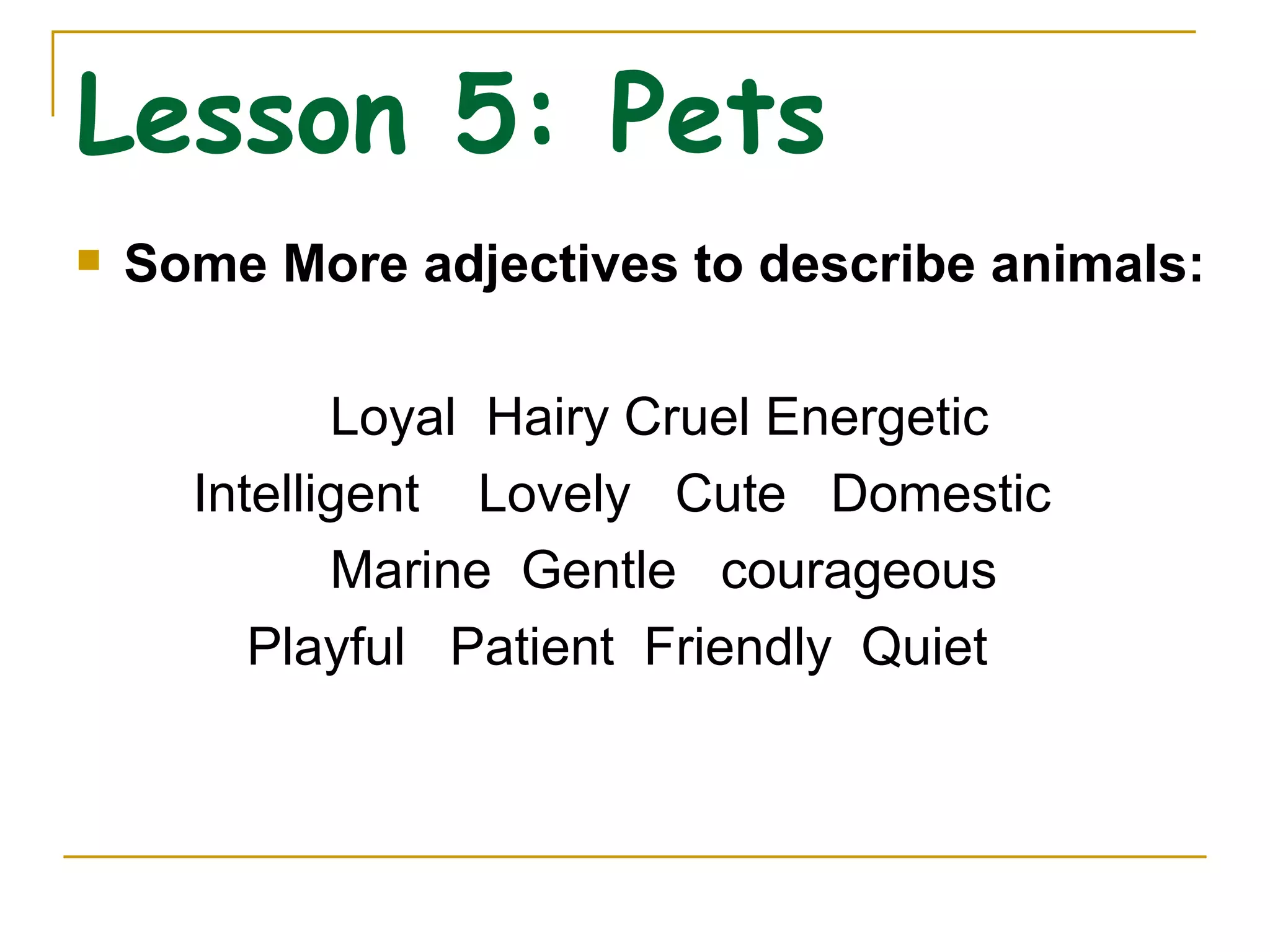Lesson 5: Pets | PPT