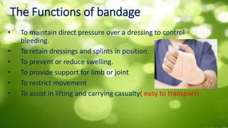 初级组 Lesson 5 | PPT