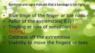 初级组 Lesson 5 | PPT