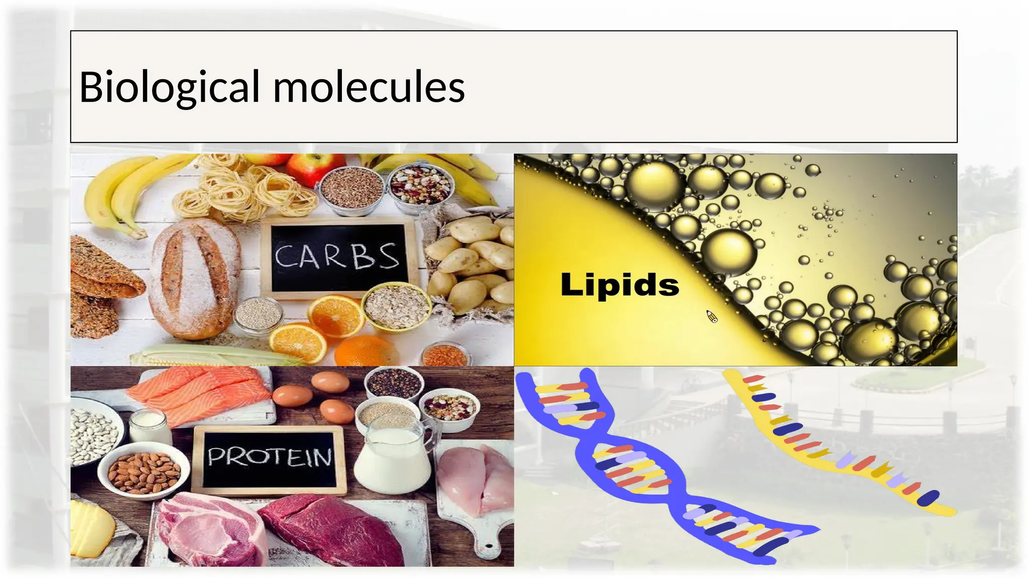 Lesson 5-Chemical And Biological Foundations of Life.pptx