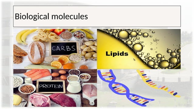 Lesson 5-Chemical And Biological Foundations of Life.pptx | Chemistry ...