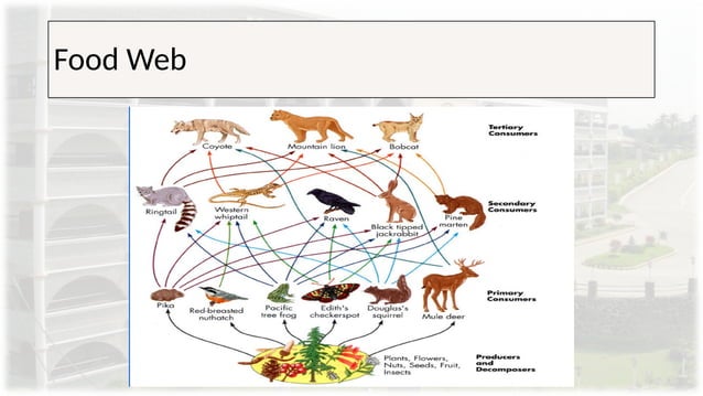Lesson 5-Chemical And Biological Foundations of Life.pptx | Chemistry ...
