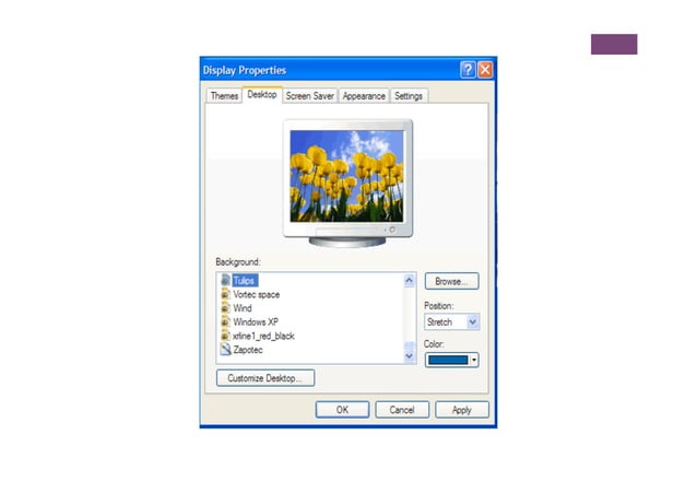 Lesson5 customizing windows | PDF