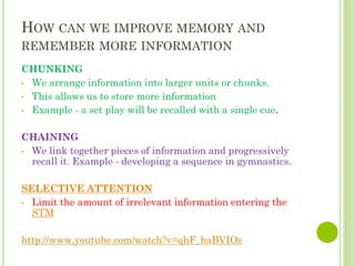 Information and Memory | PPT