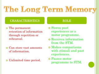 Information and Memory | PPT