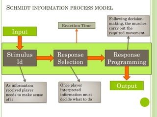 Information and Memory | PPT