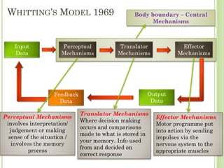 Information and Memory | PPTX