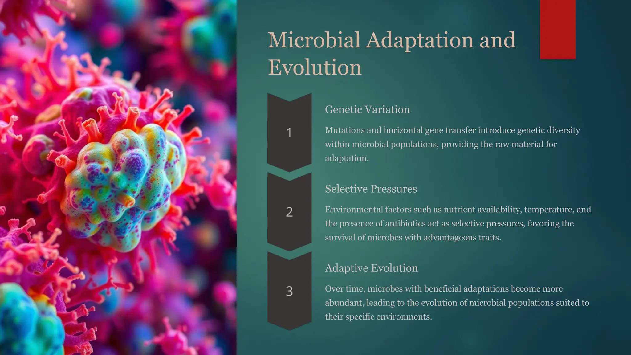 Lesson 5-Introduction-to-Microbial-Ecosystems.pptx