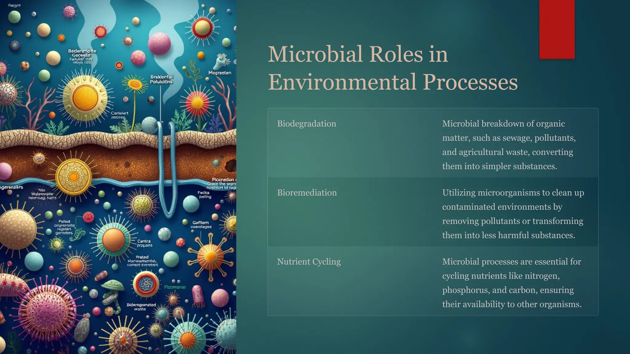 Lesson 5-Introduction-to-Microbial-Ecosystems.pptx
