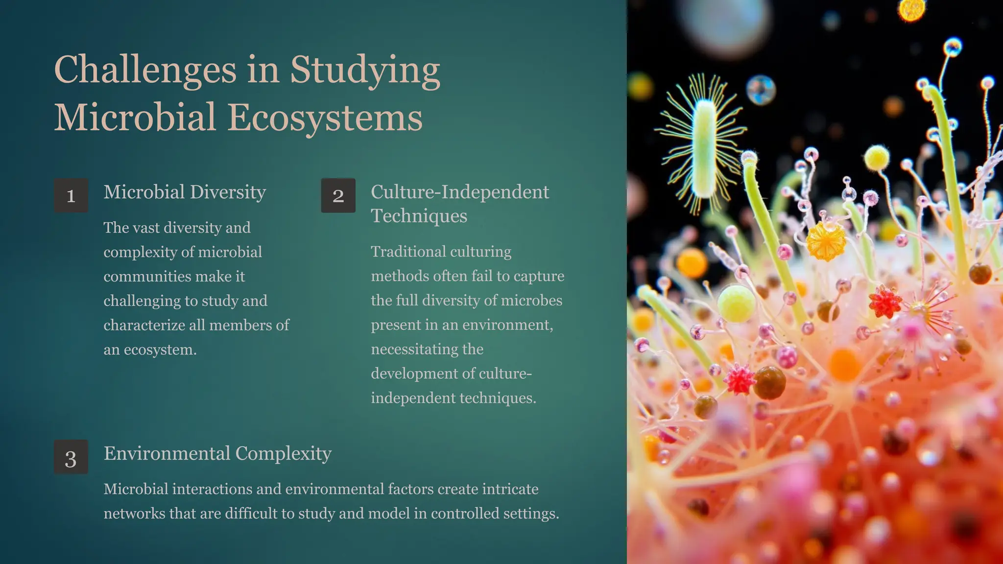 Lesson 5-Introduction-to-Microbial-Ecosystems.pptx