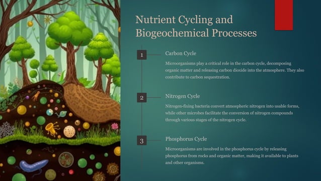 Lesson 5-Introduction-to-Microbial-Ecosystems.pptx
